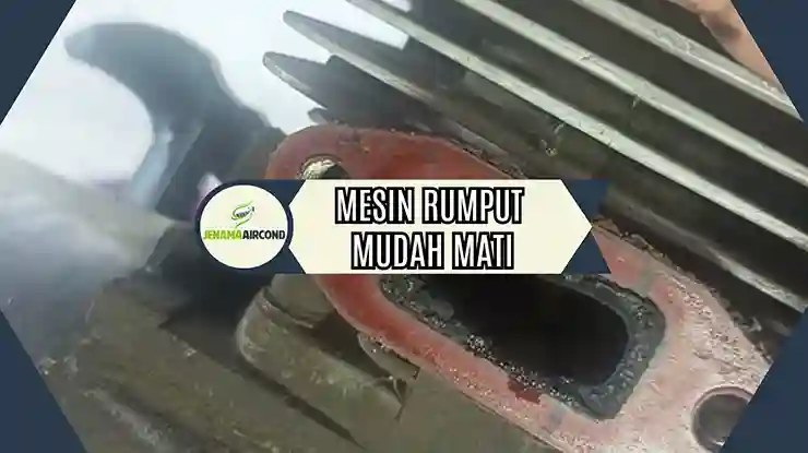 Mesin Rumput Mudah Mati: Punca & Cara Mengatasi